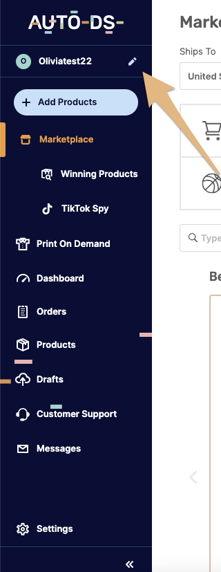 Easily build a Shopify store with AI